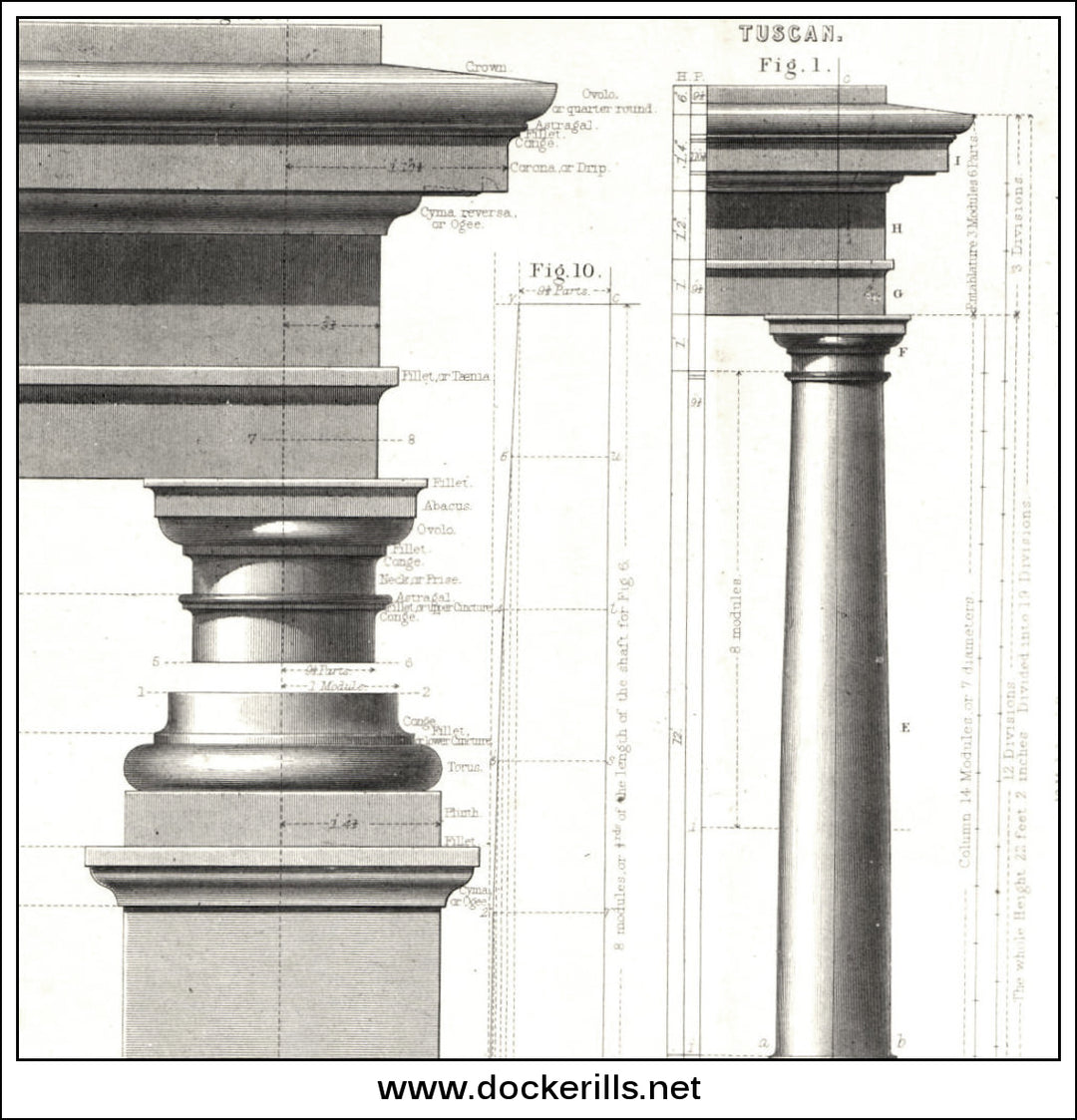 Types Of Column - Five Orders Of Architecture. Antique Print, Lithogra ...