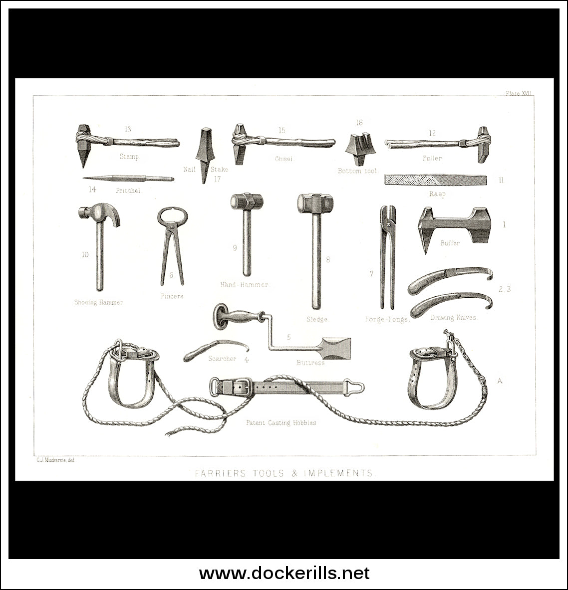 Farriers Tools & Implements. Antique Print, Lithograph c. 1880 ...